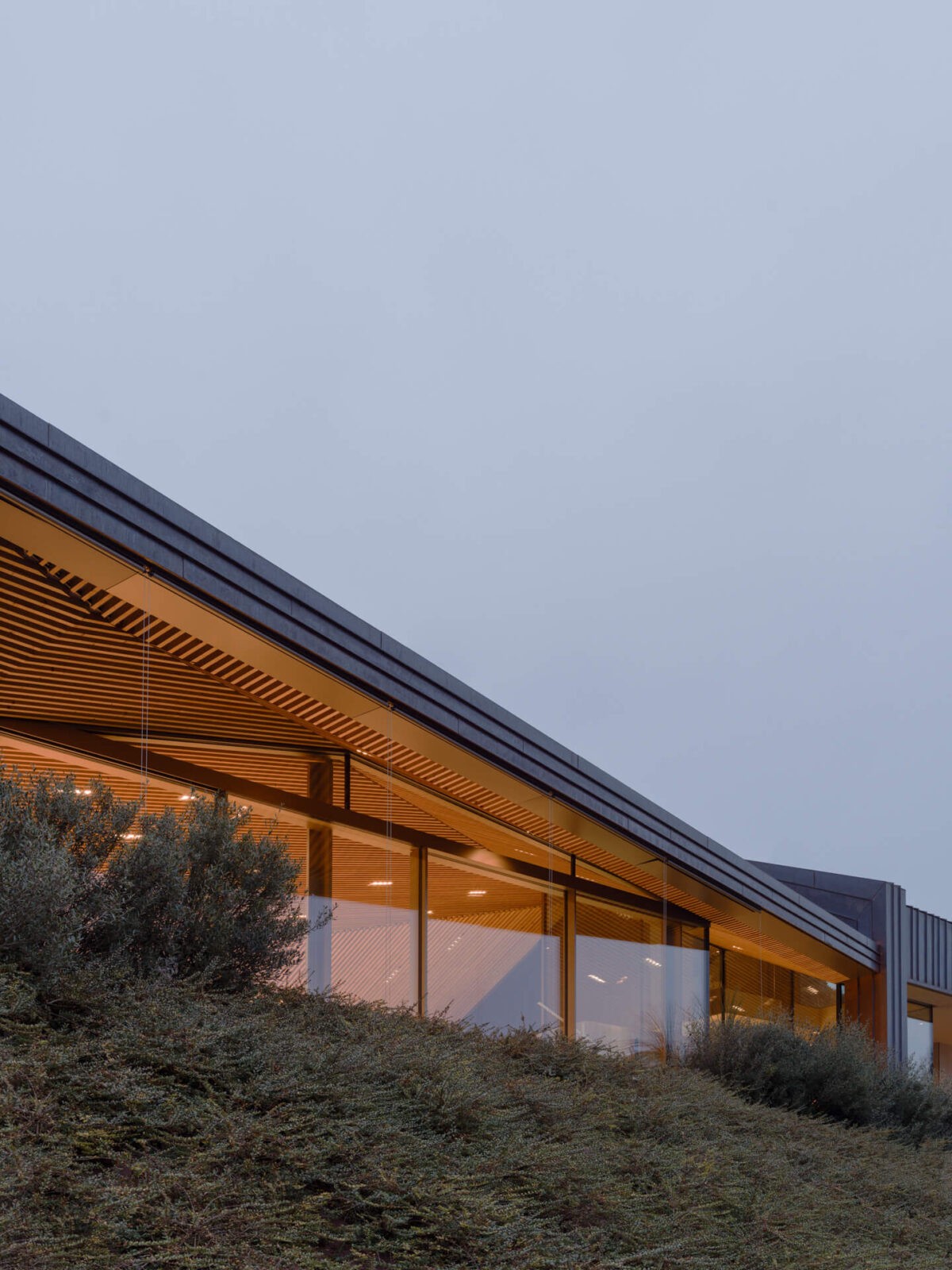 Organic House - archilab-studio